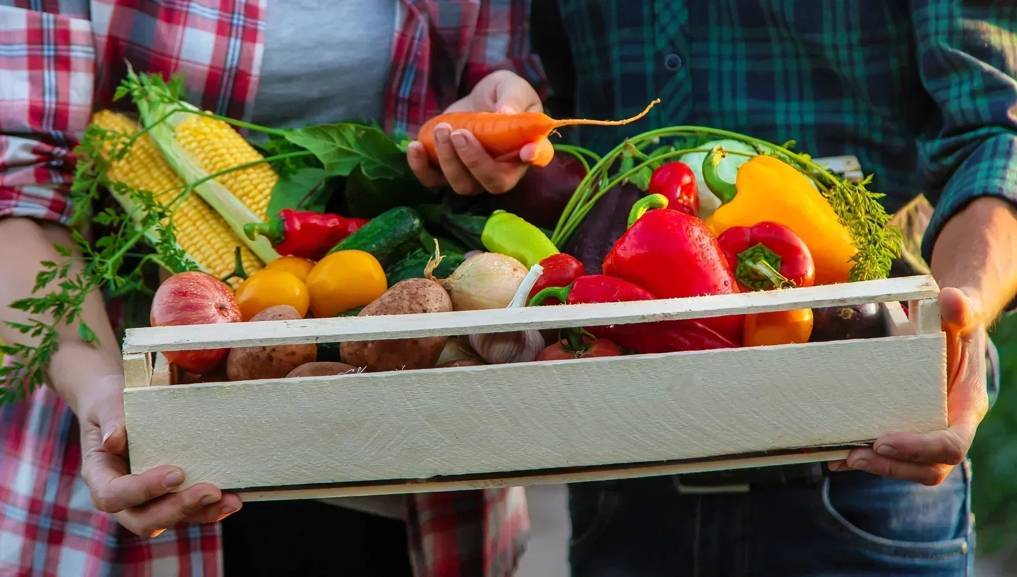 Detailed List of Seasonal Vegetables to Grow in Summer – Bloom Ranch