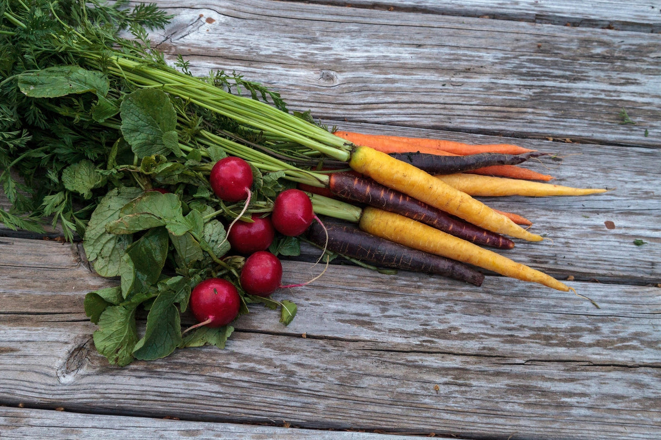 What Are Good Winter Vegetables? List of Best Season Veggies – Bloom Ranch