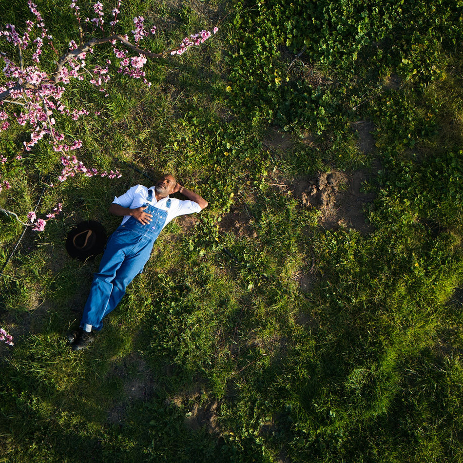 What is an orchard? Meaning & Examples – Bloom Ranch