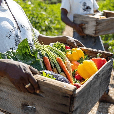 Bloom Ranch of Acton