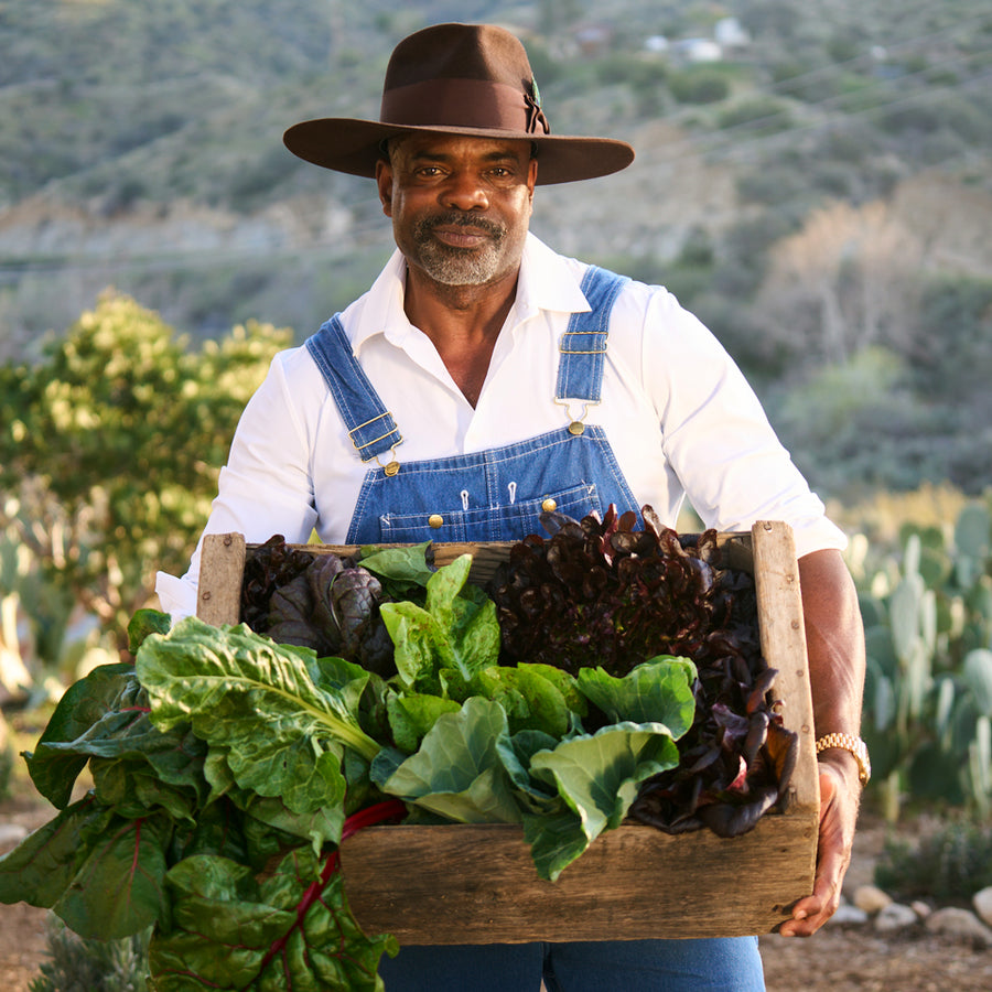 Bloom's Red Mustards Box – Bloom Ranch