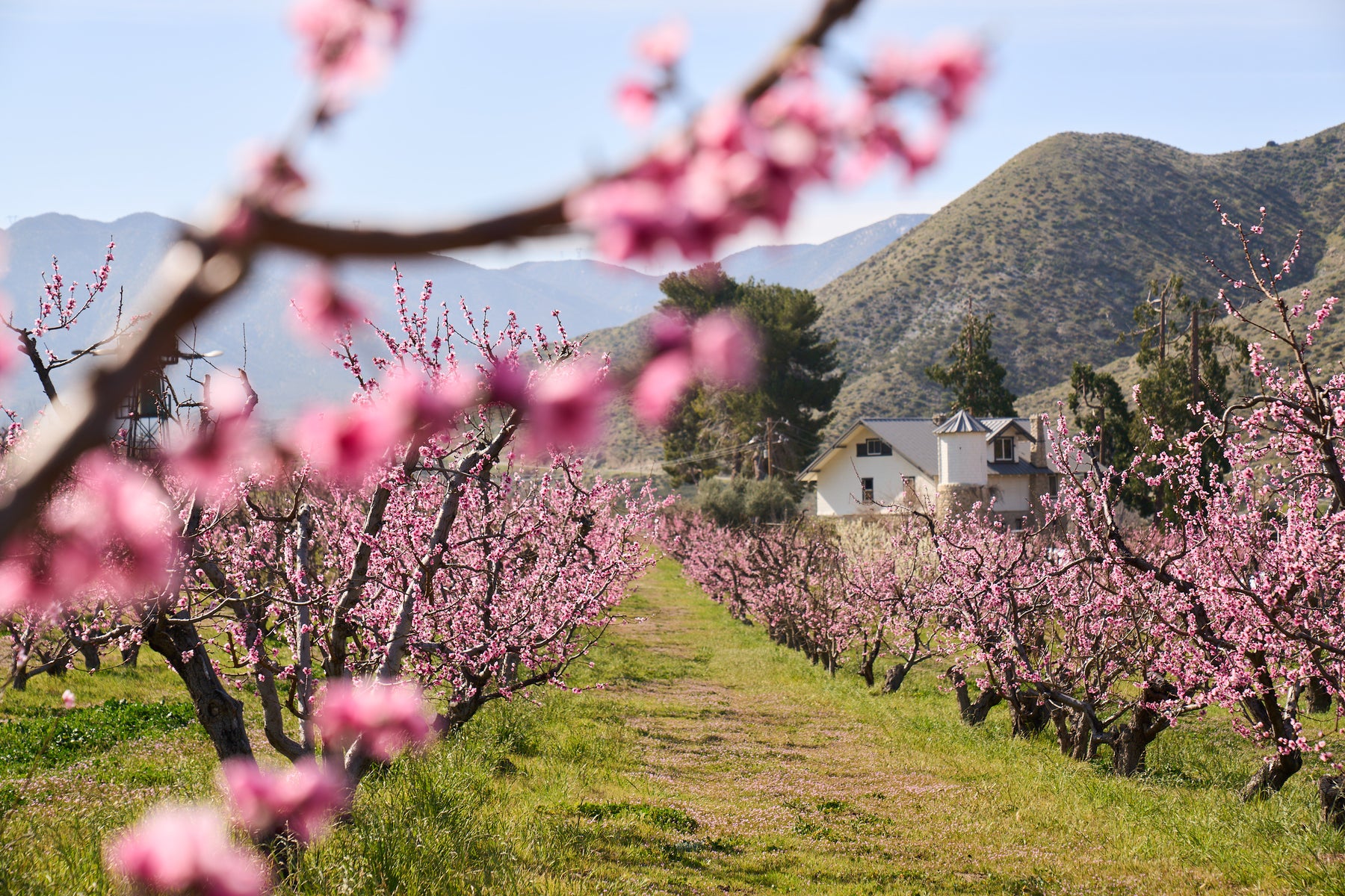 About – Bloom Ranch