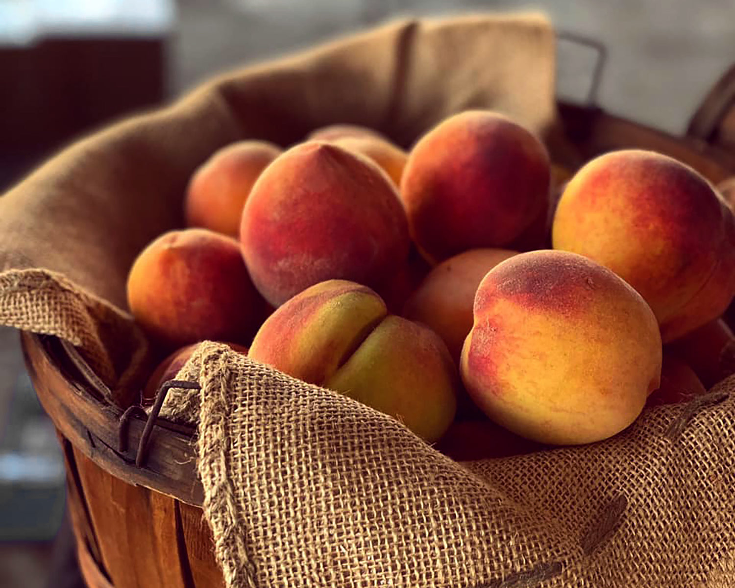 The Bloom Box – Bloom Ranch